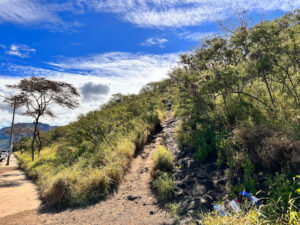 A Complete Trail Guide to the Pu’u O Hulu (Pink Pillbox) Hike on Oahu ...